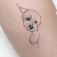 Obituaries For Dogs, 10 Free Examples